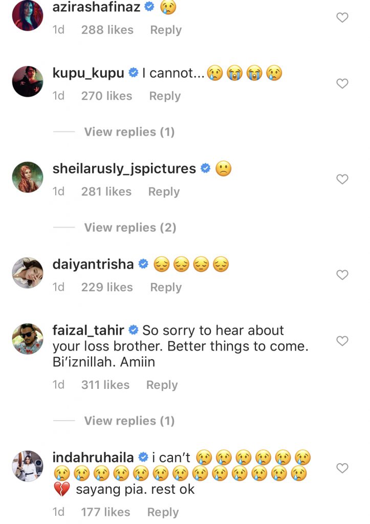 “Pia Berhenti Untuk Bertarung Dengan Penyakit Dia,”- Kucing Belaan Mati ...