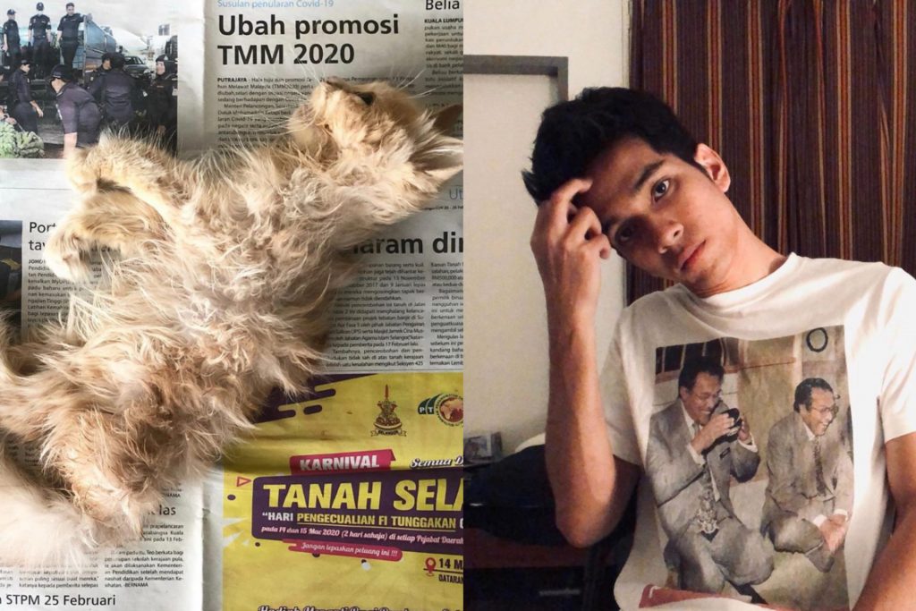 “Pia Berhenti Untuk Bertarung Dengan Penyakit Dia,”- Kucing Belaan Mati ...